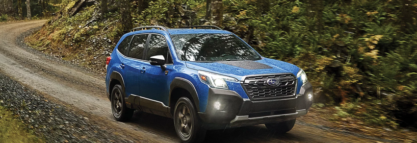 Boo at Byers Subaru Dublin